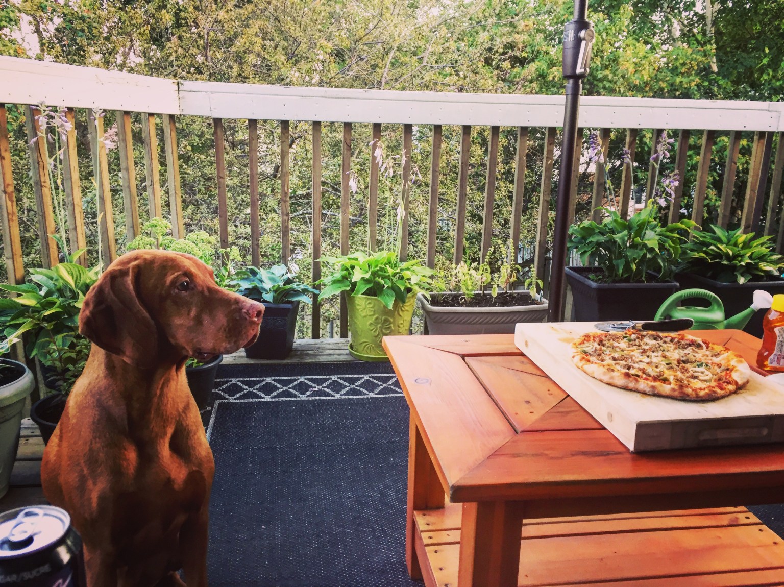 Inspiration in Unlikely Places – Eva Christensen Art